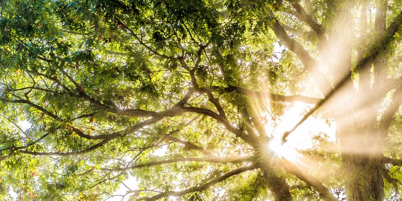 Imec and Crystal Solar Demonstrate 22.5 Percent nPERT Si Solar Cells on ...