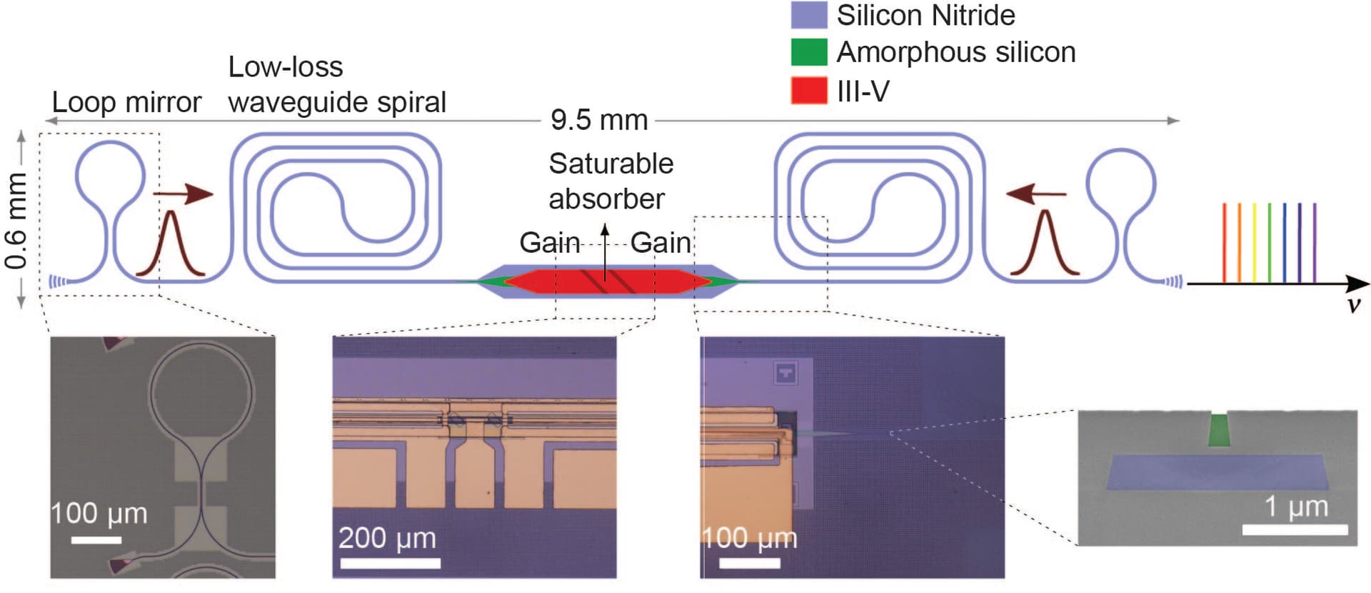 Photoacoustics for biomedical applications | imec