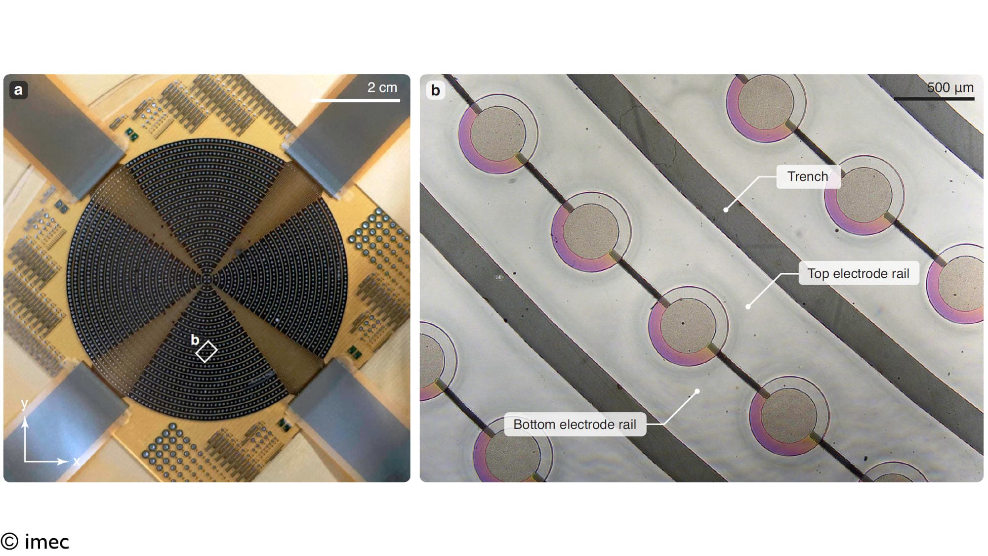Imec demonstrates flat-panel-display-compatible pMUT technology | imec