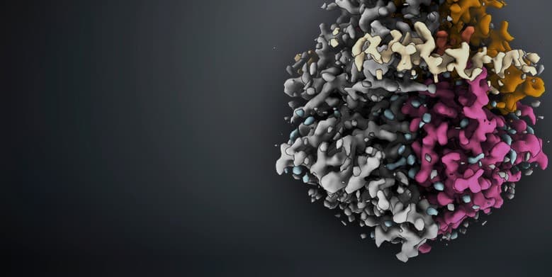 Lens-free imaging | imec