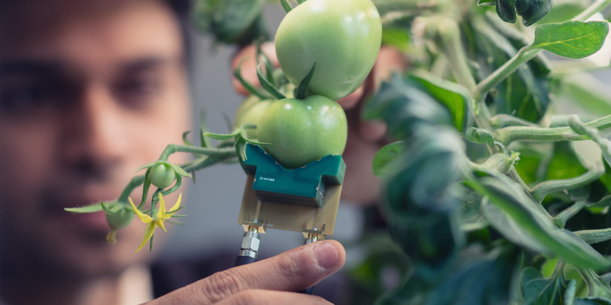 Imec Introduces New Snapshot Multispectral Image Sensor that Combines ...