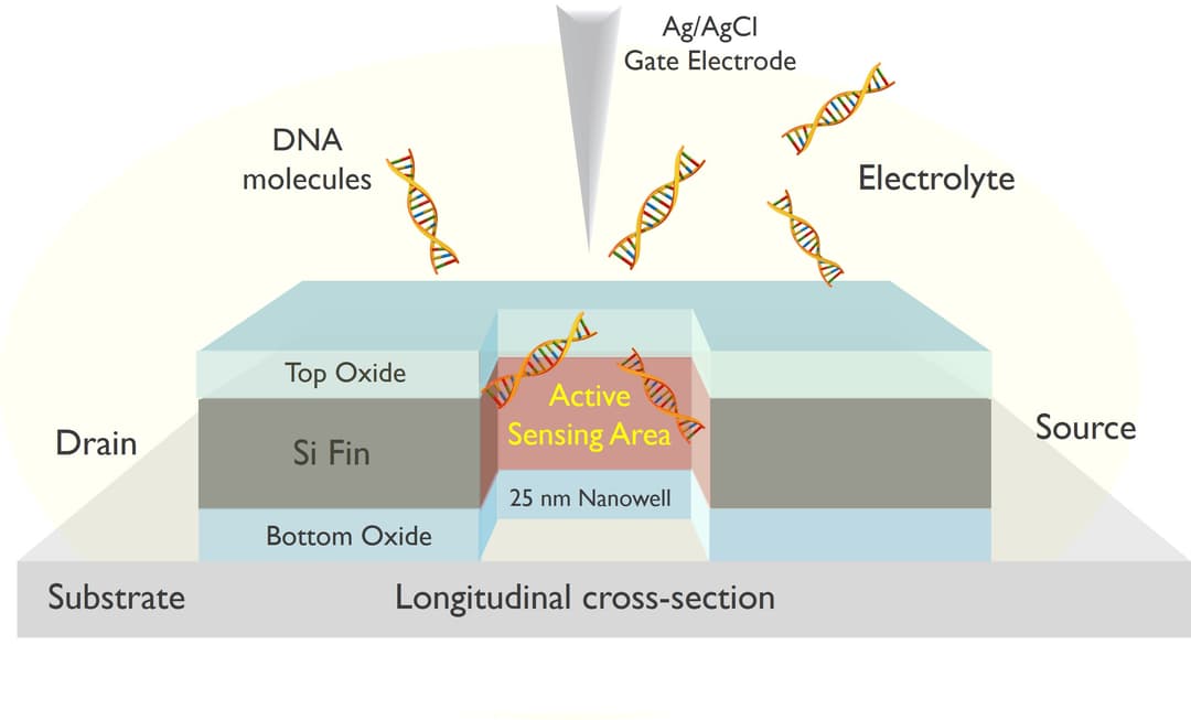 Nanowell FET for highly sensitive molecular detection | imec