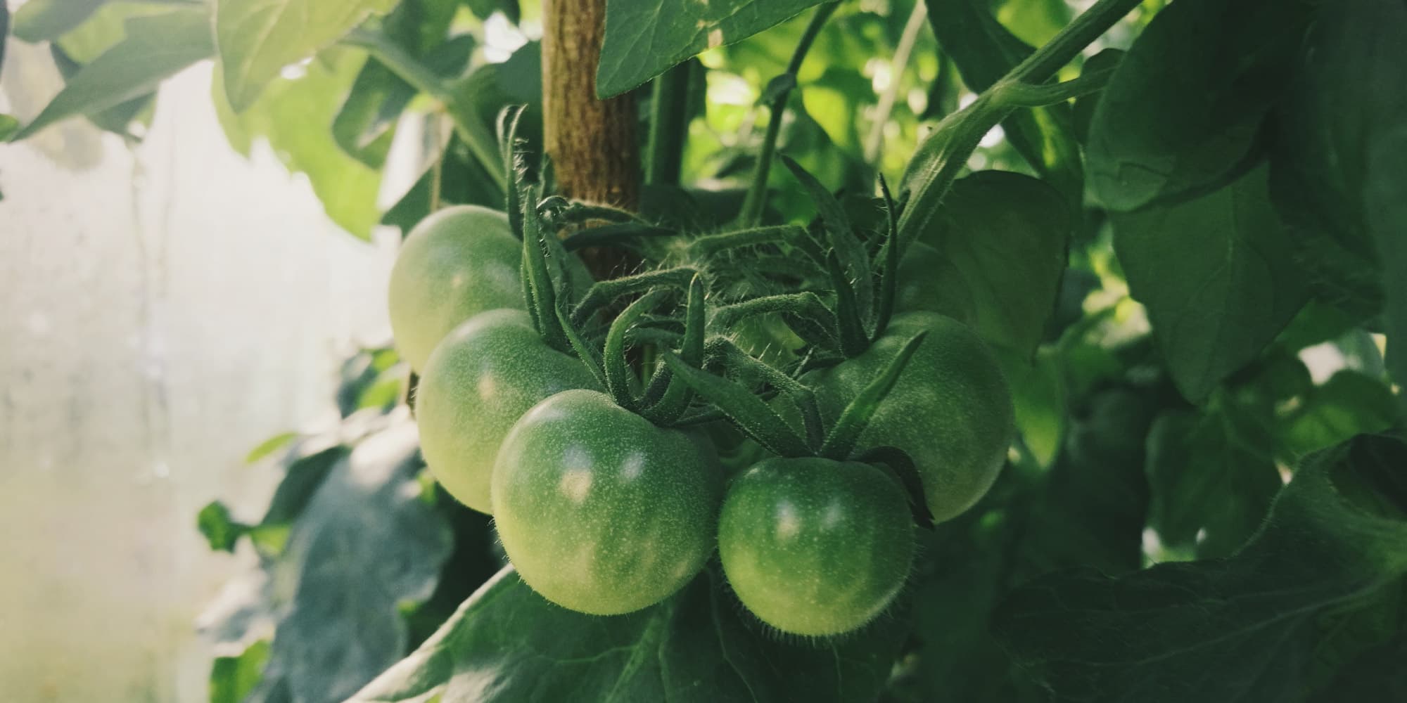 Imec and Holst Centre Introduce World’s First Solid-State Multi-Ion ...