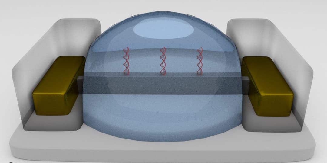 Imec presents smallest finFET-based biosensor for high-sensitivity ...