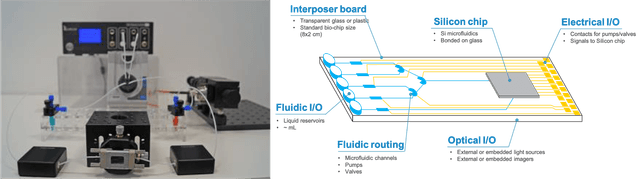 Microfluidics | imec