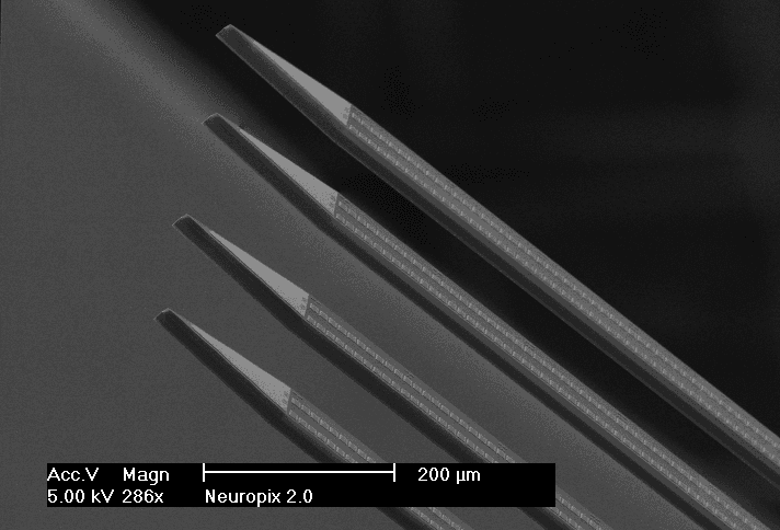 Neural probes: tracking the activity of individual neurons | imec