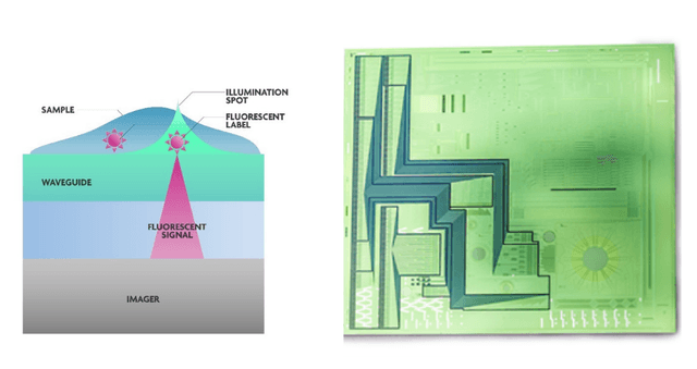 Why biotech innovators choose imec for their custom silicon | imec