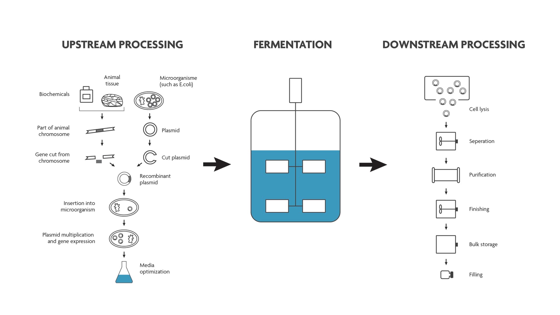 How can chips enable realtime inline monitoring of bioprocesses? | imec