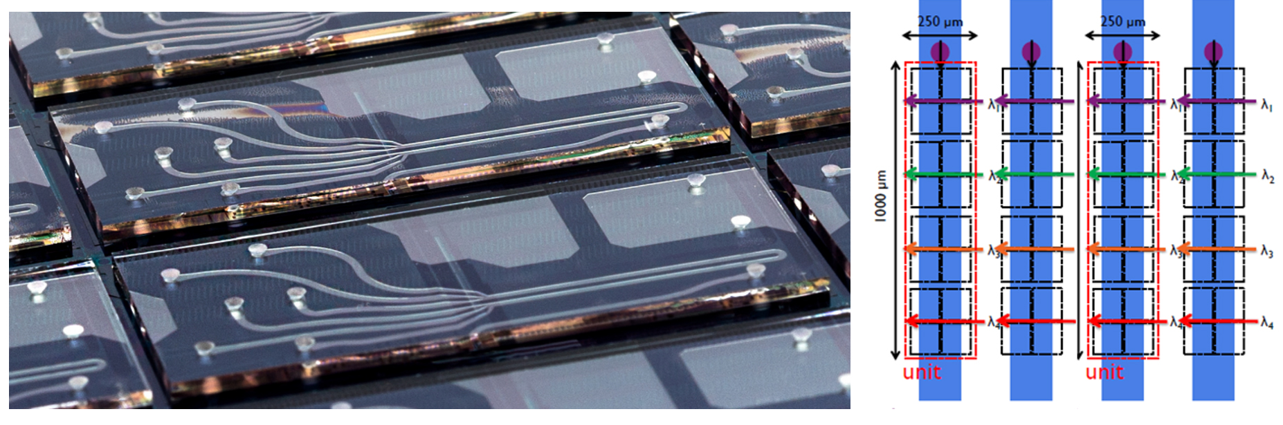 New killer application for cell sorter chip