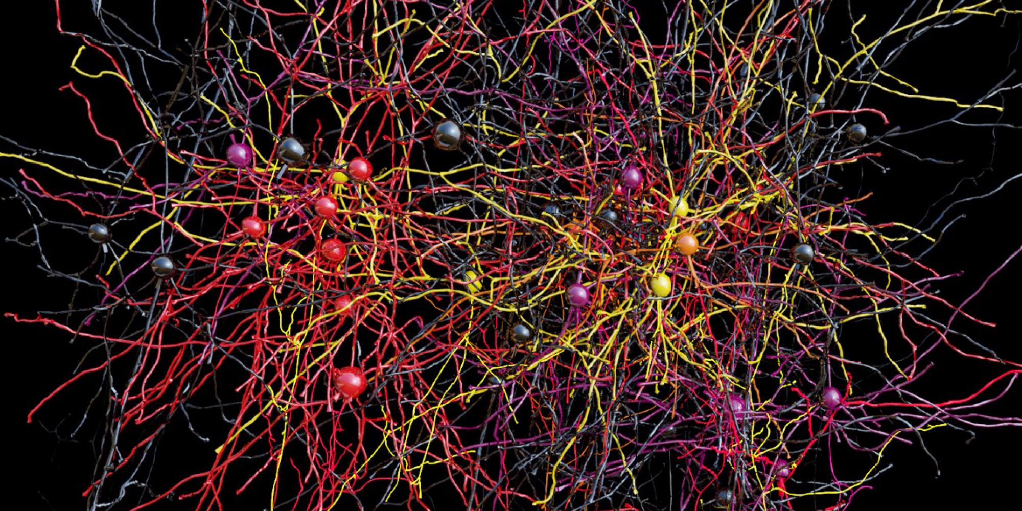 Revealing the brain circuitry | imec