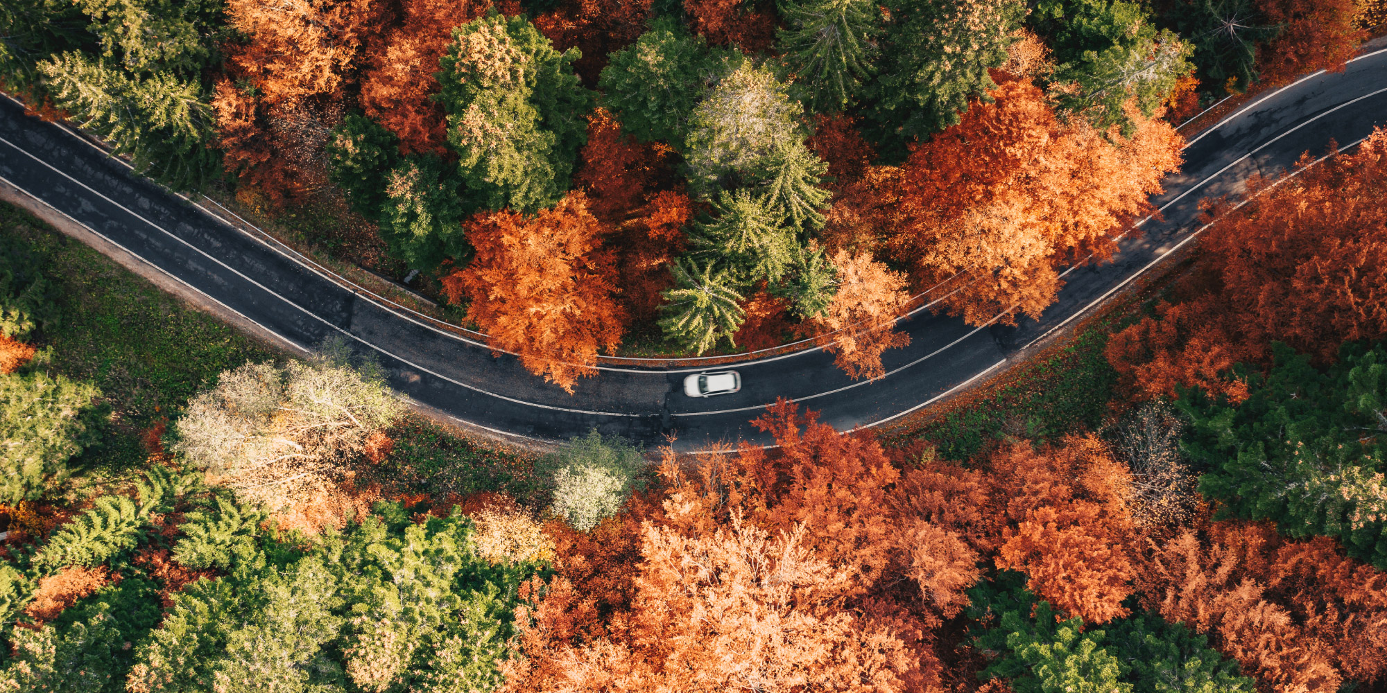 The five highlights of October 2019 | imec