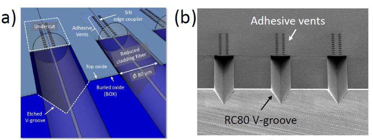 Silicon photonics technology for next-generation datacenter interconnects