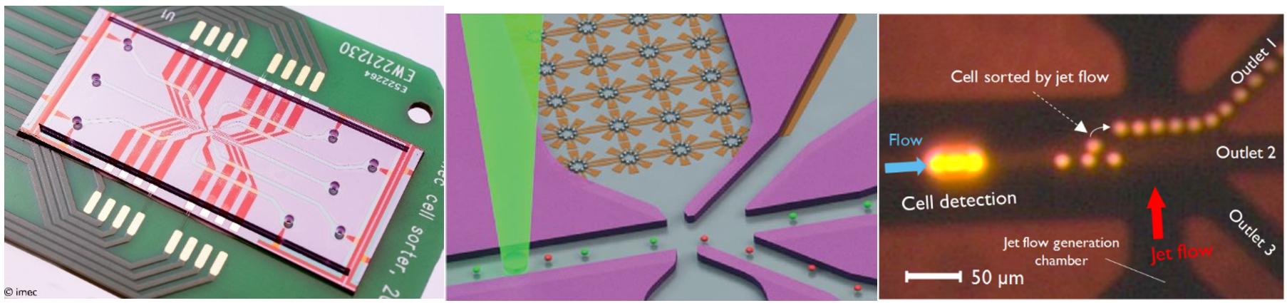 How can chips enable realtime inline monitoring of bioprocesses? | imec