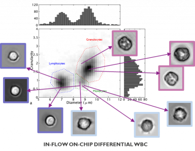 How can chips enable realtime inline monitoring of bioprocesses? | imec