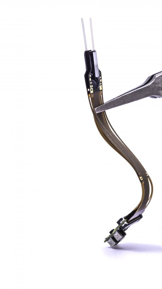 The next-generation of Neuropixels brings us closer to understanding ...