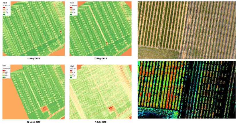 Paintings, pythons and pears: the spectrum of hyperspectral applications.