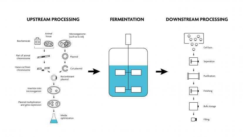 How can chips enable realtime inline monitoring of bioprocesses? | imec