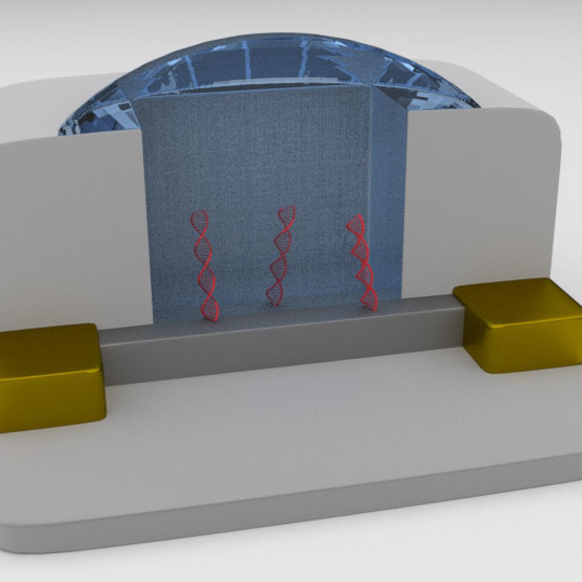 Imec presents smallest finFET-based biosensor for high-sensitivity ...