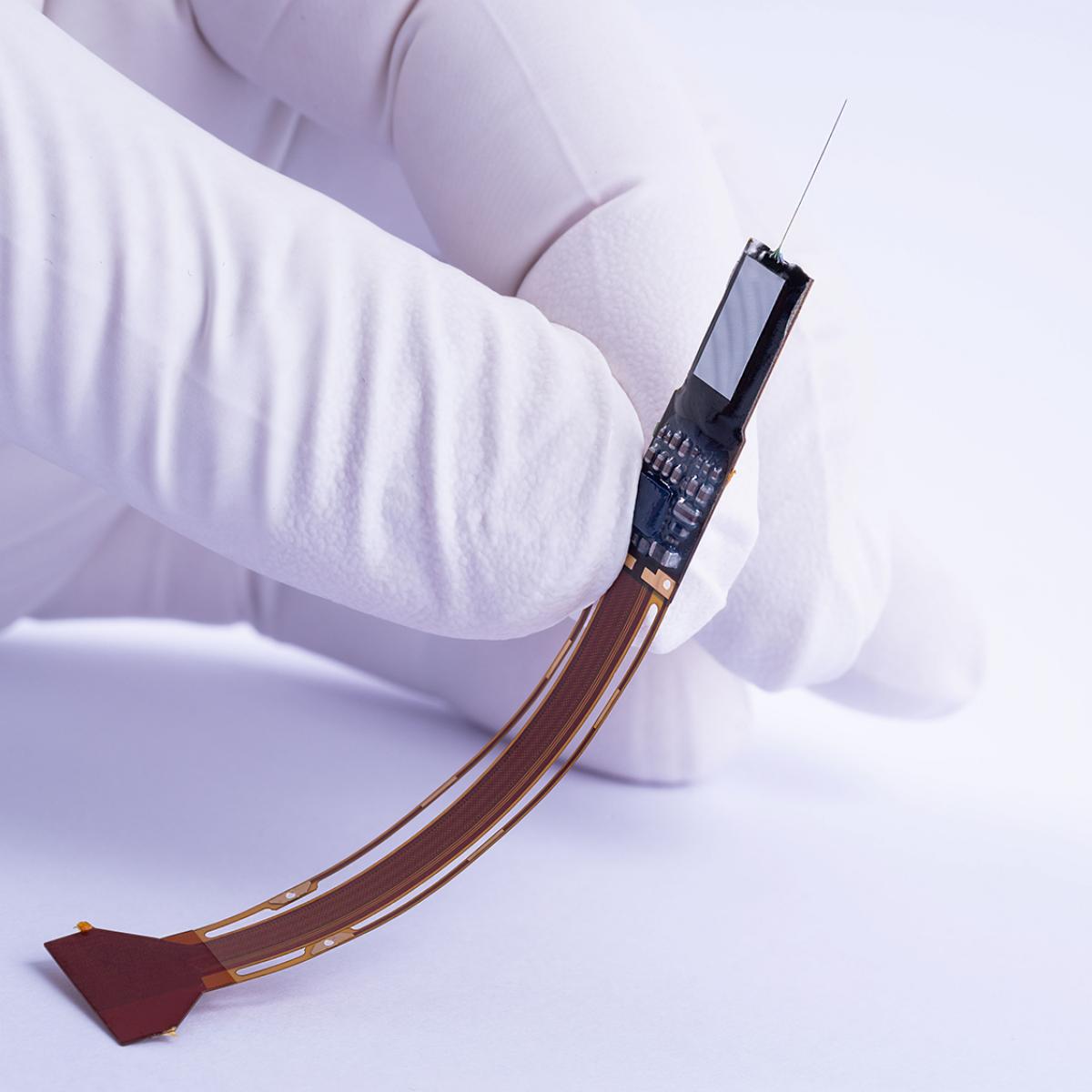 Imec releases neuropixels neural probe to the global Neuroscience ...