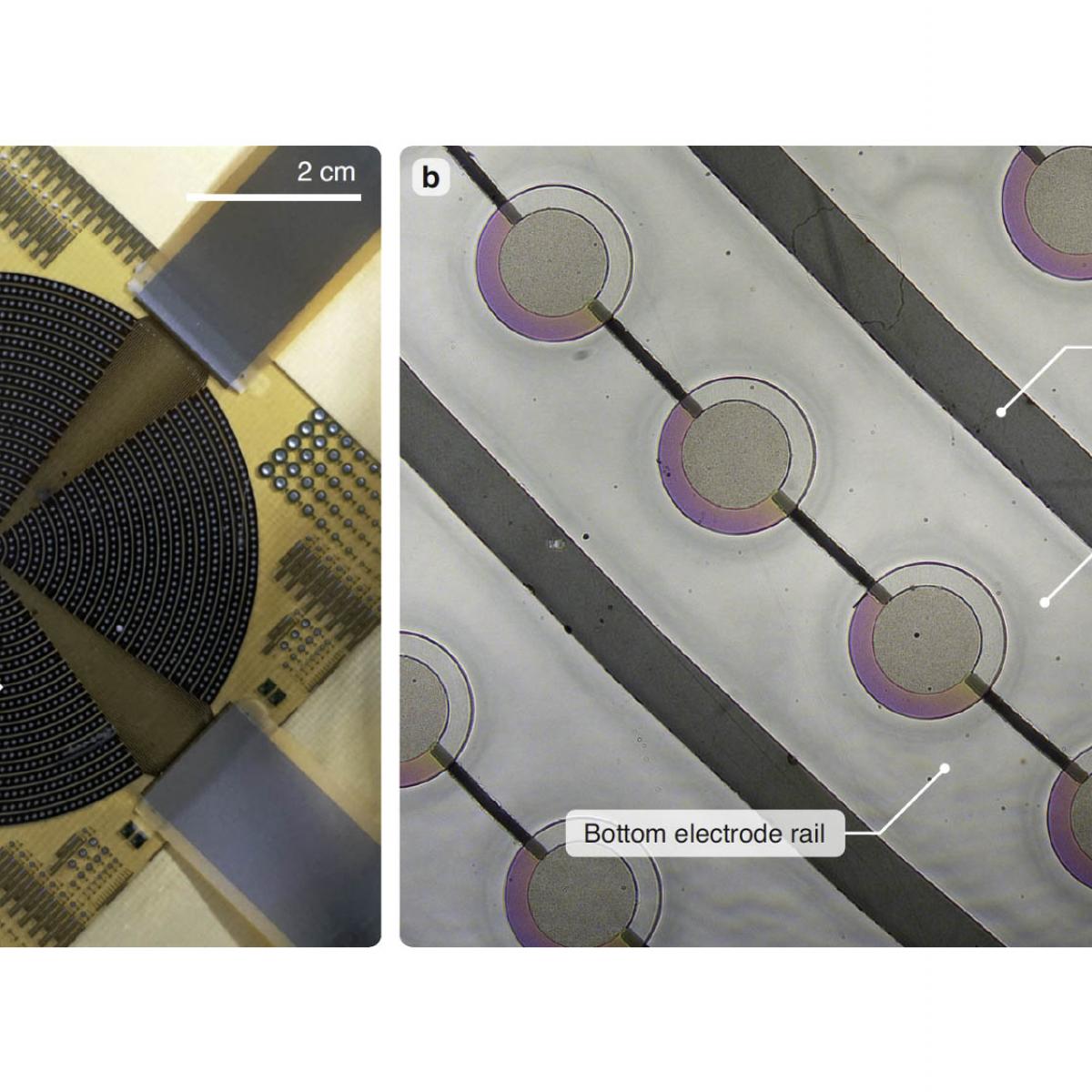 Imec demonstrates flat-panel-display-compatible pMUT technology | imec
