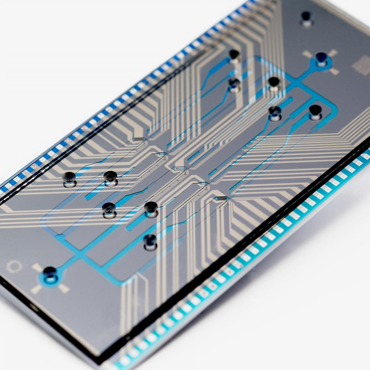 Life Sciences - Technology platforms - Micro-electrode arrays