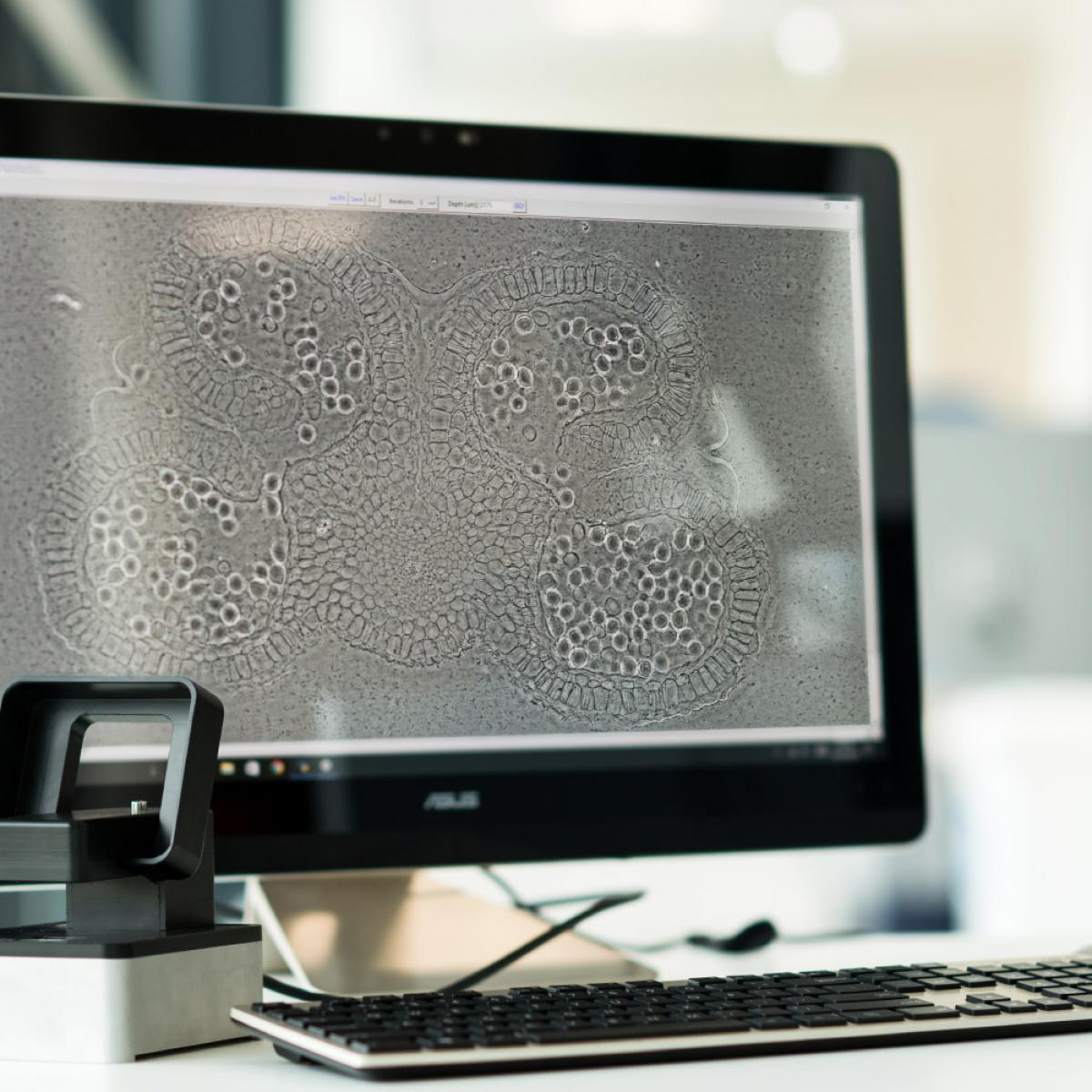 Life Sciences - Technology platforms - Biosensors